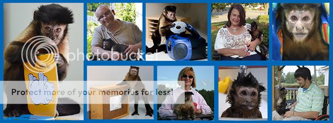 Helping Hands Monkey Helpers