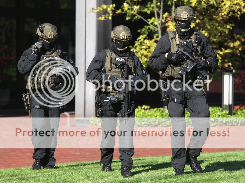 GSG 9 W/ Custom G36C