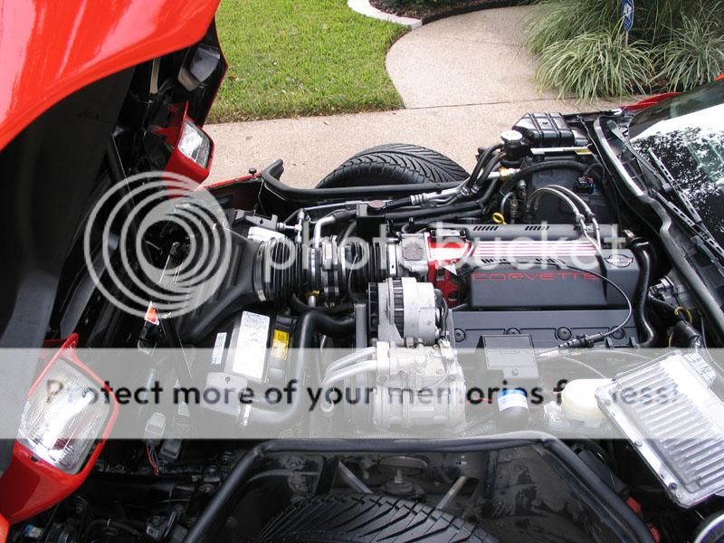 1996 Torch Red Corvette for Sale - CorvetteForum - Chevrolet Corvette ...