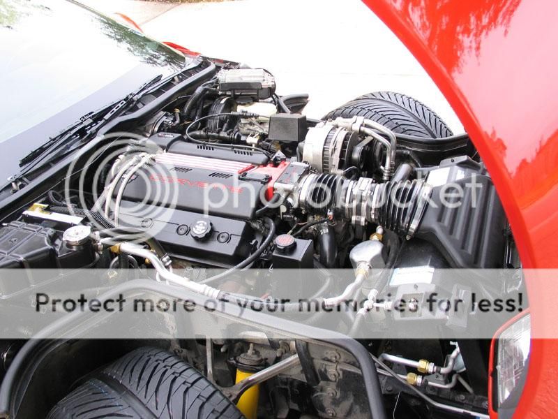 1996 Torch Red Corvette for Sale - CorvetteForum - Chevrolet Corvette ...